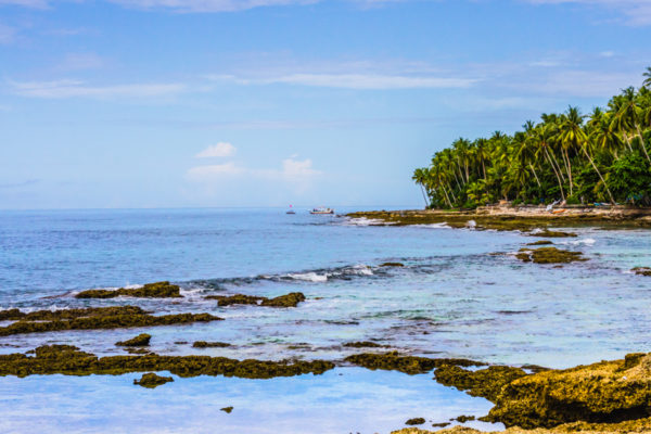 Diving in Ambon | Things to do in Ambon Indonesia | The Fit Traveller