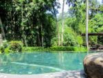 Ubud Retreat | Fivelements Puri Ahimsa Bali - The Fit Traveller