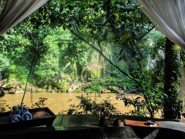 Ubud Retreat | Fivelements Puri Ahimsa Bali - The Fit Traveller
